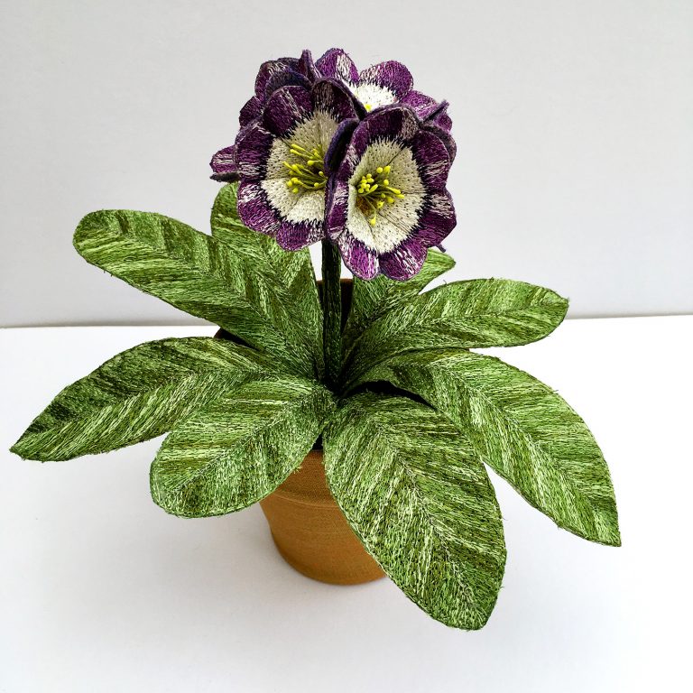 Auricula Pot Plants – Corinne Young Textiles