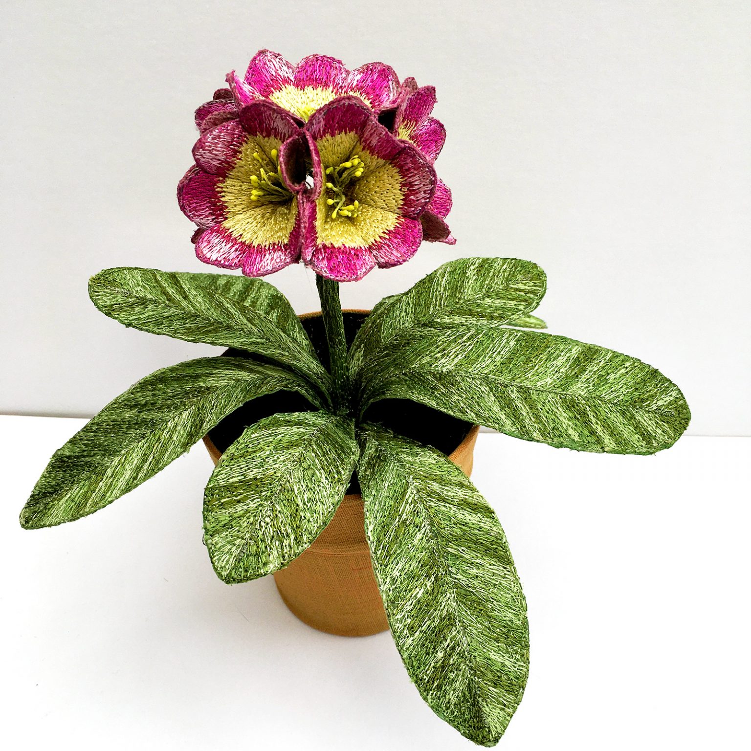 Auricula Pot Plants – Corinne Young Textiles
