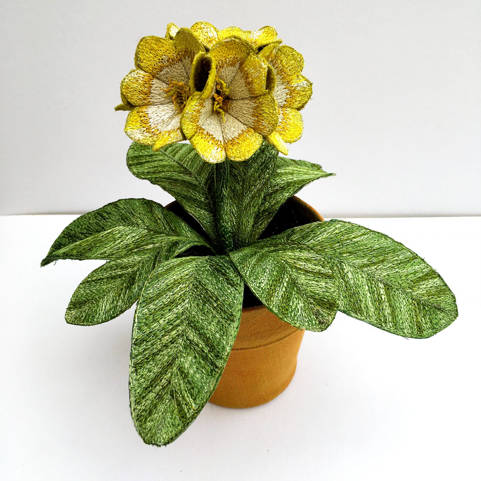 Auricula Pot Plants – Corinne Young Textiles