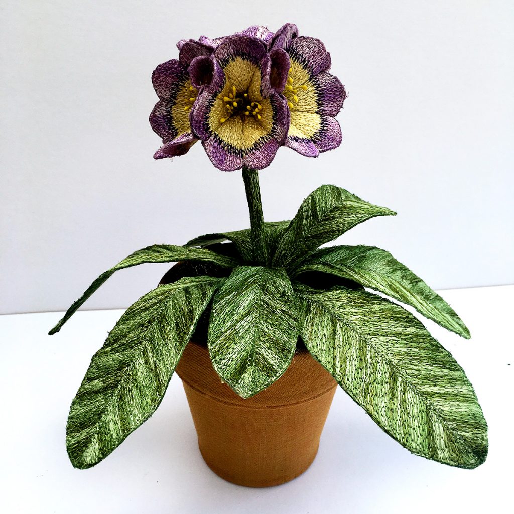 Auricula Pot Plants – Corinne Young Textiles