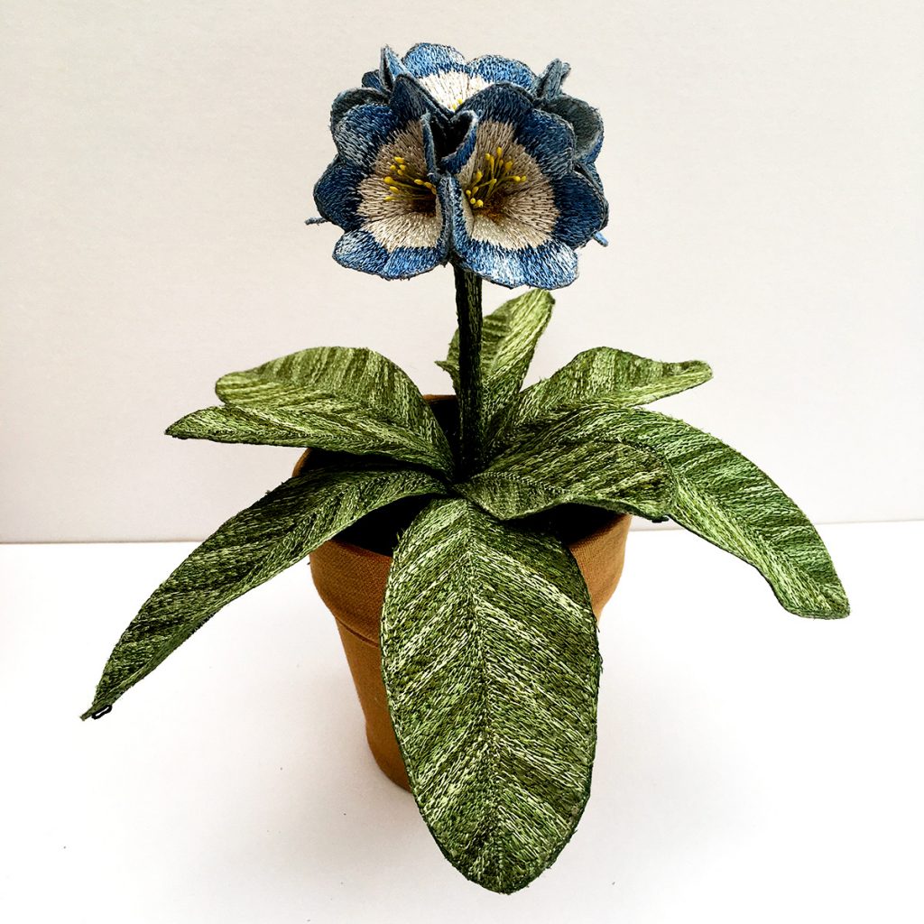 Auricula Pot Plants – Corinne Young Textiles