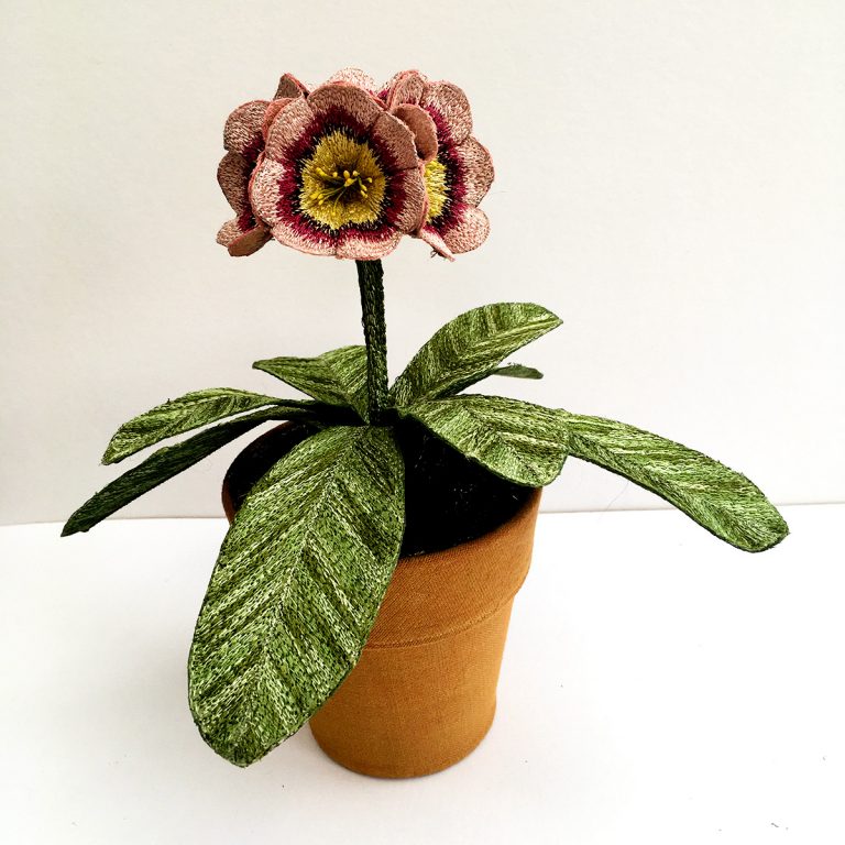 Auricula Pot Plants – Corinne Young Textiles