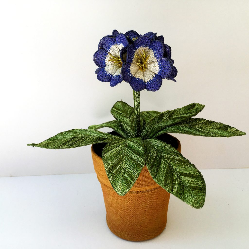 Auricula Pot Plants – Corinne Young Textiles